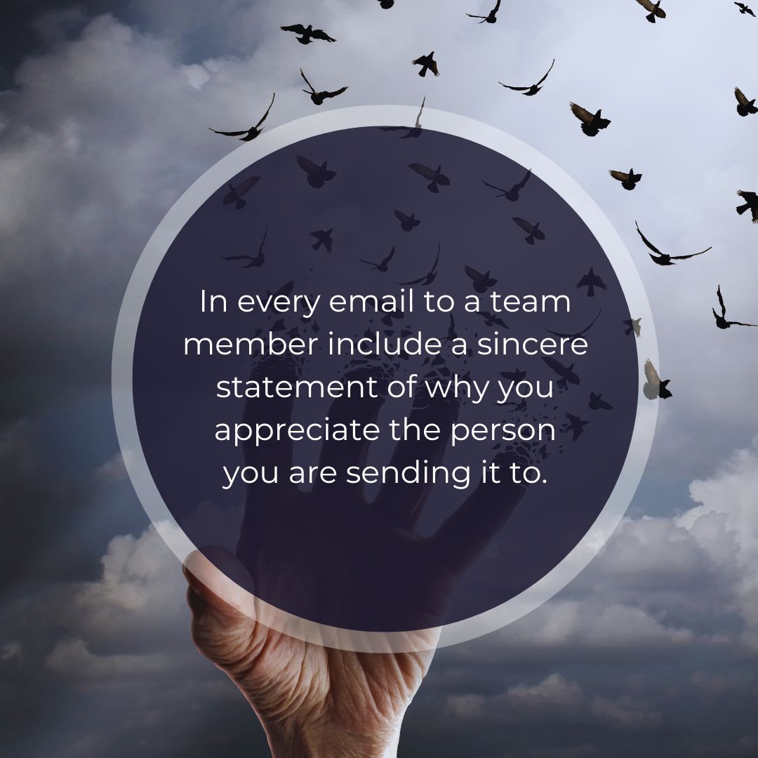 David Irvine - Leadership and the trap of the tyranny of the transaction.