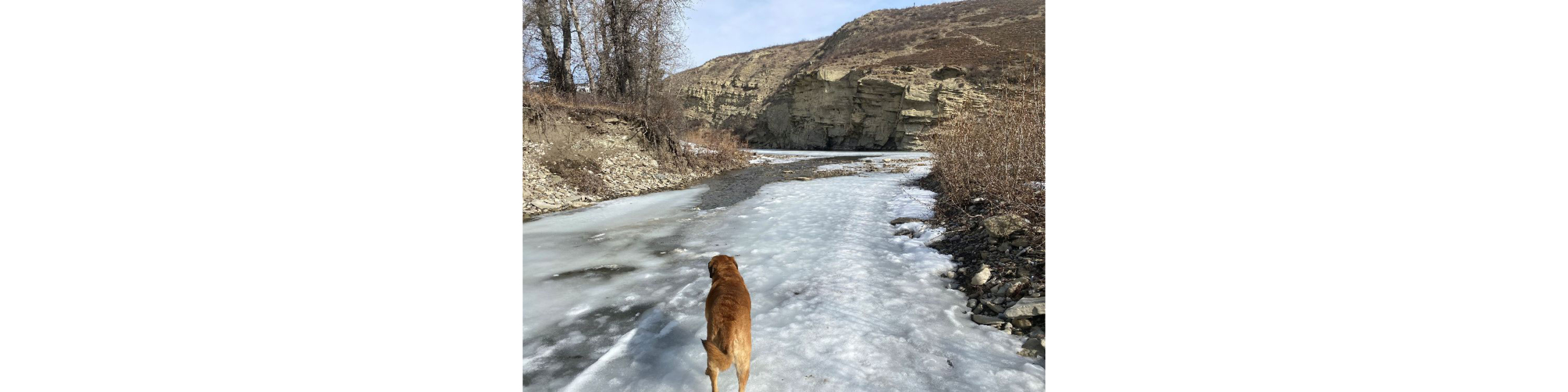 David Irvine - Recognizing A Sacred Space