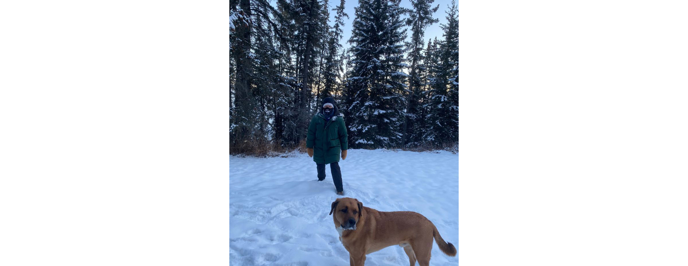 David Irvine - A Firm Mind or an Infirm Mind