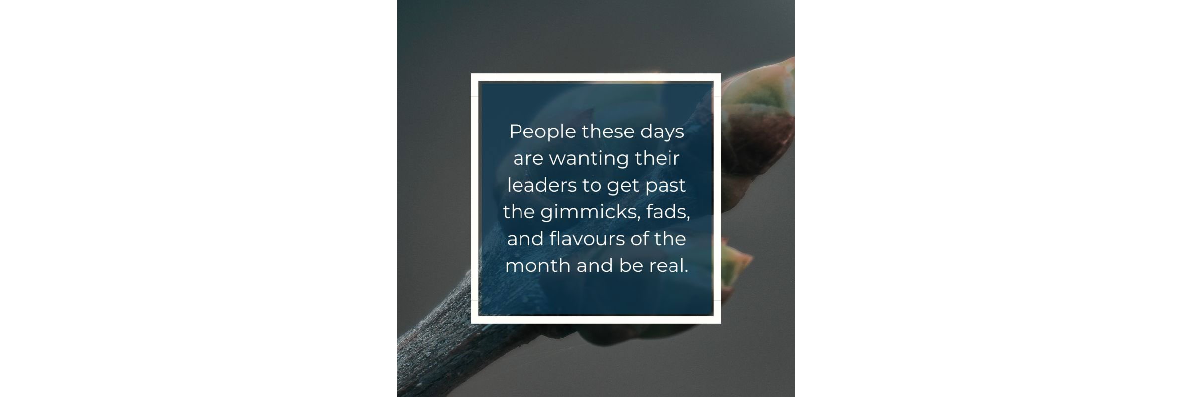 David Irvine - A big part of my work and focus is teaching leaders to ...