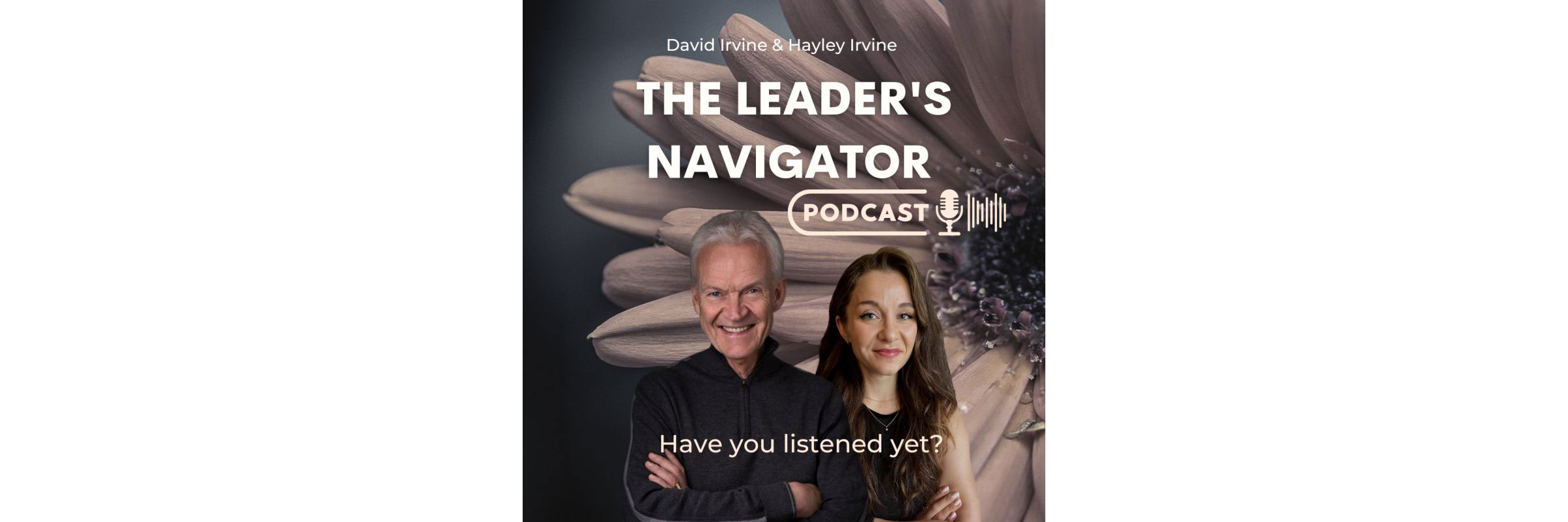David Irvine - The Leader's Navigator Podcast