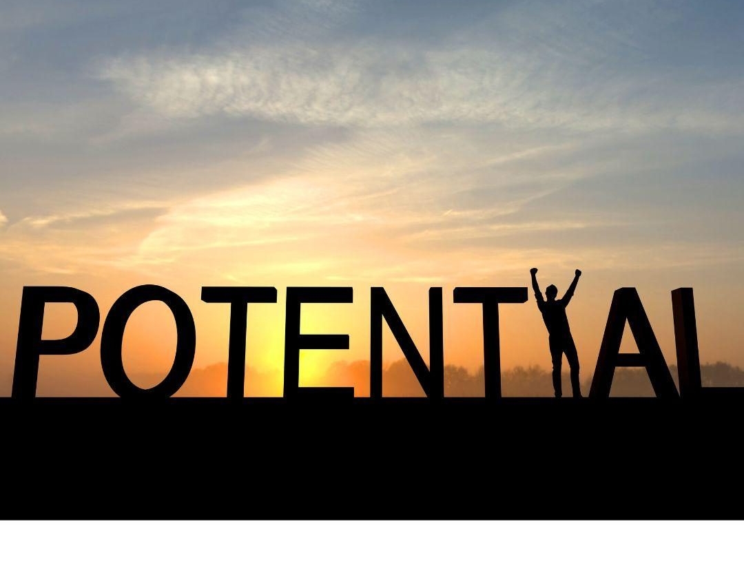 David Irvine - RISE ABOVE - Unleashing Potential Through the Power of ...