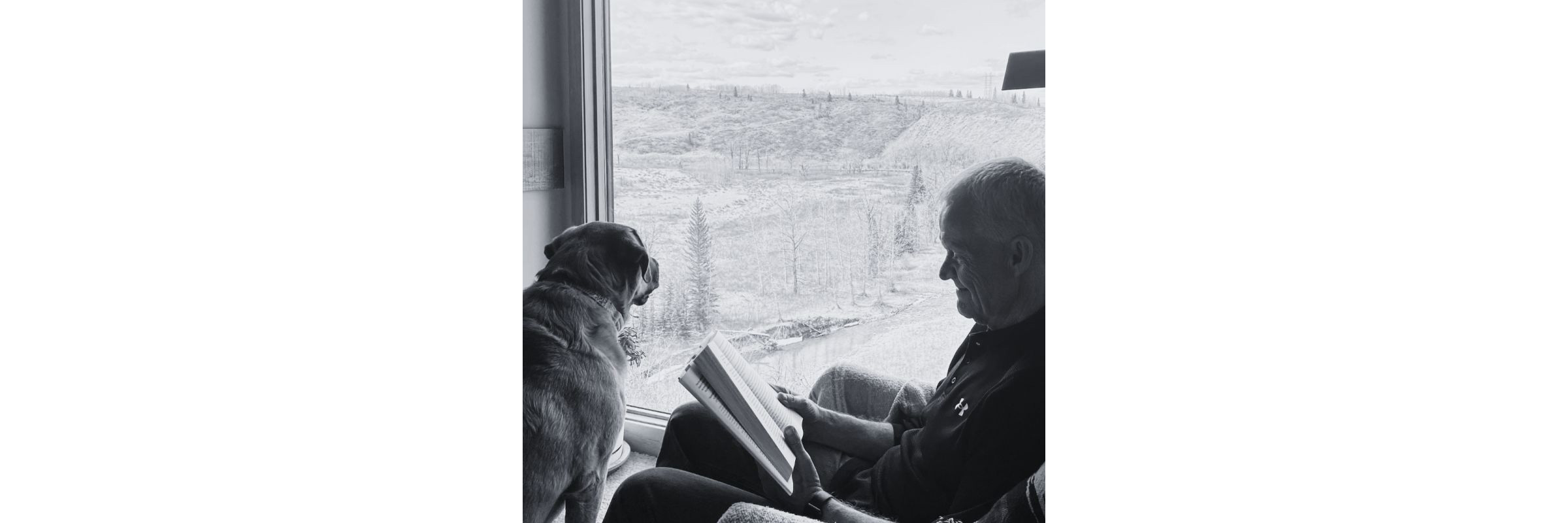 David Irvine - I love books.