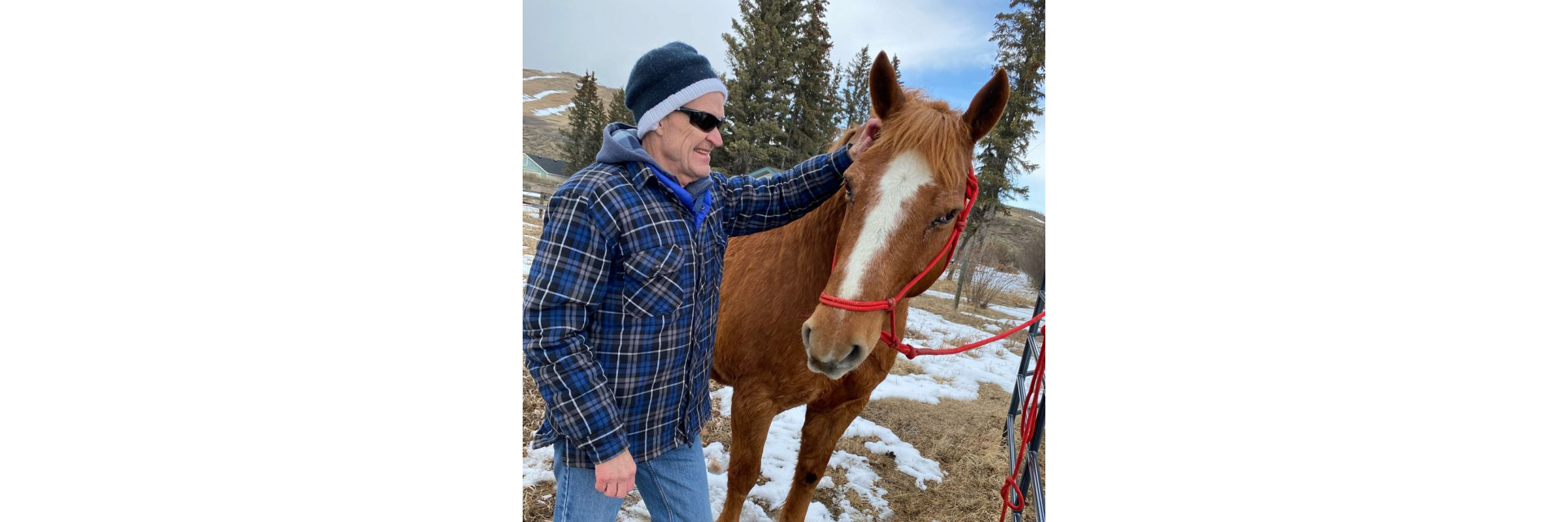 David Irvine - What horses can teach us about culture and leadership